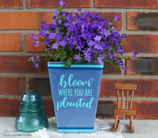 DIY Bloom Planters – Sue's Creative Workshop