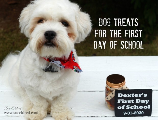 Dog Treats for the First Day of School – Sue's Creative Workshop
