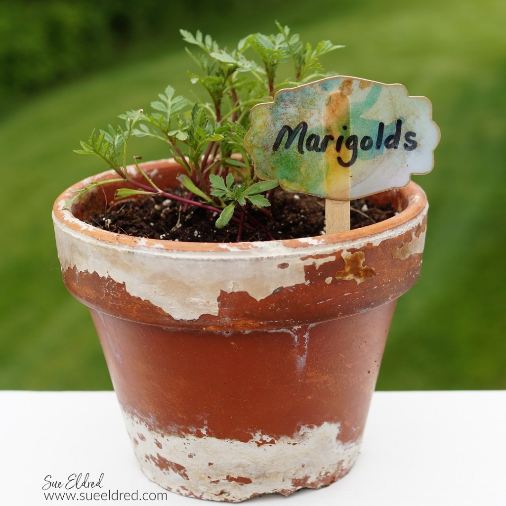 DIY Flower Pot Label – Sue's Creative Workshop