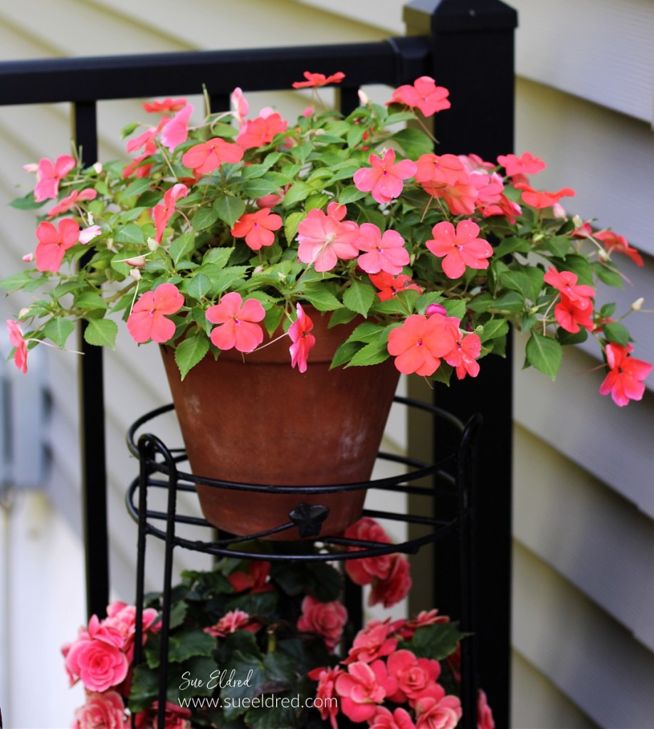 Taking Fall Garden Notes – Sue's Creative Workshop