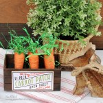 DIY Carrot Patch Spring Decoration – Sue's Creative Workshop